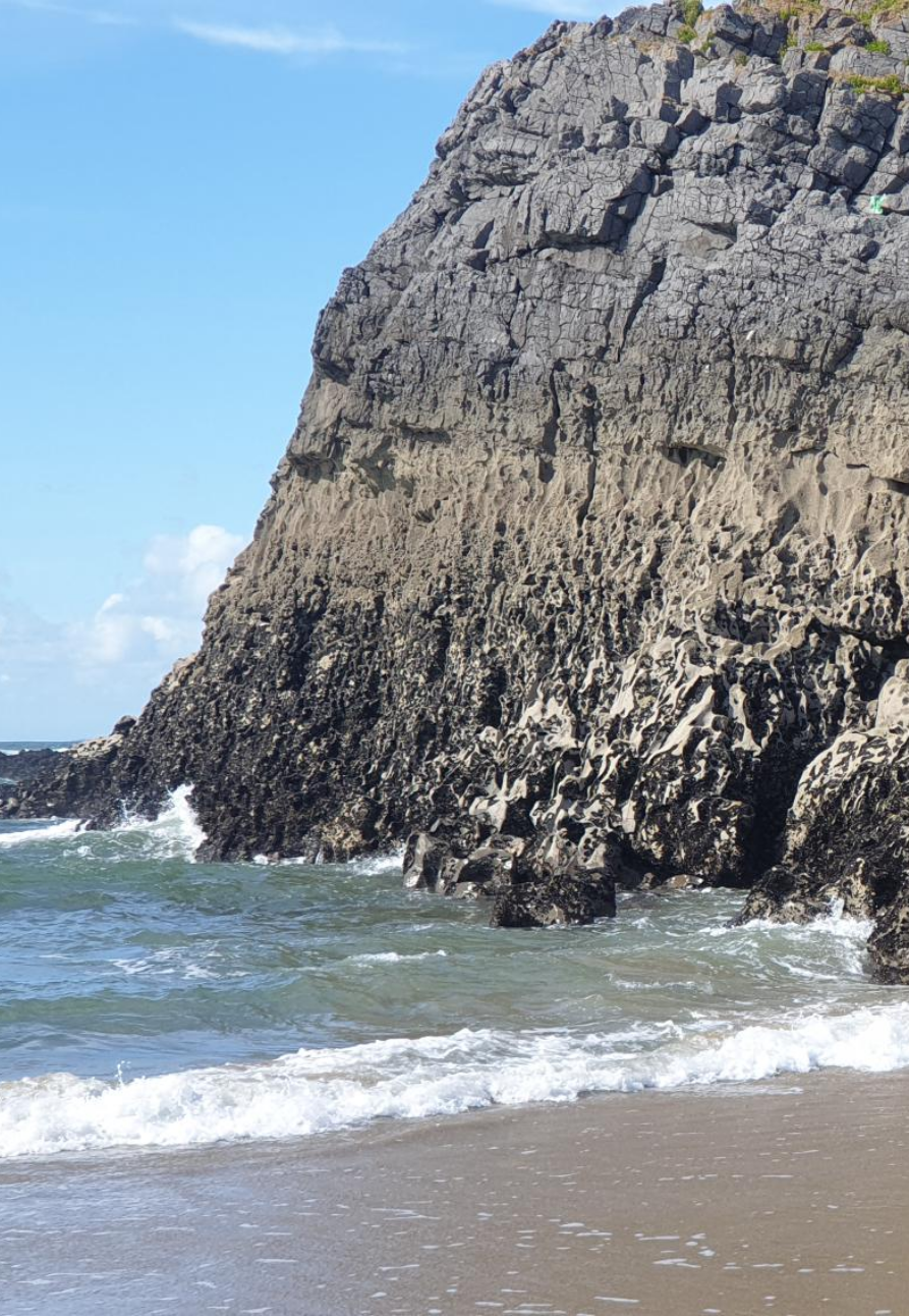 Artificial rockpools successfully attract sea creatures - Blue Cube