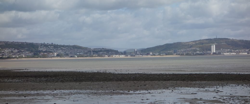 Mumbles Sea Hive - Blue Cube