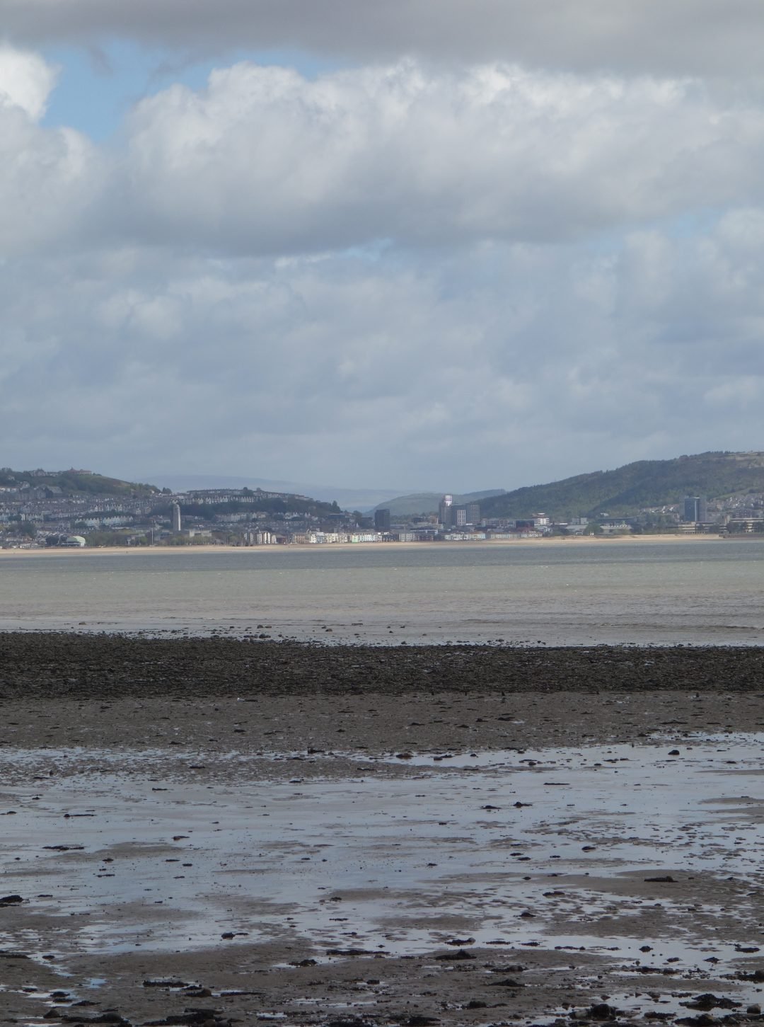 Mumbles Sea Hive - Blue Cube