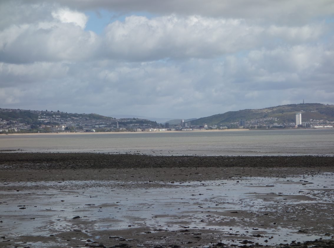 Mumbles Sea Hive - Blue Cube