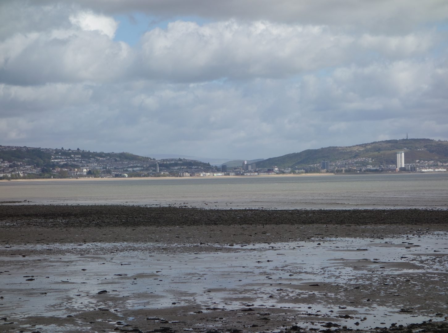 Mumbles Sea Hive - Blue Cube