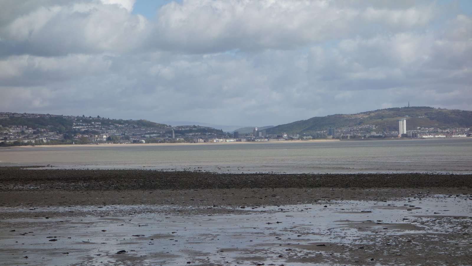 Mumbles Sea Hive - Blue Cube