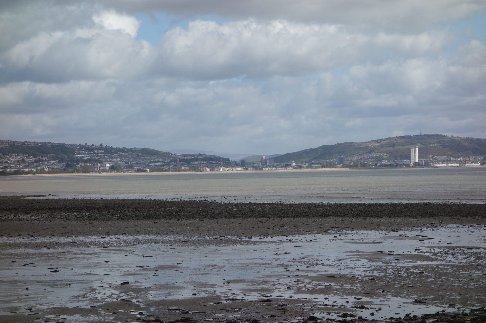 Mumbles Sea Hive - Blue Cube