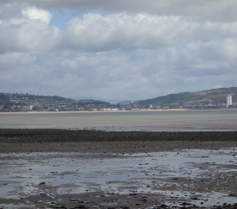 Mumbles Sea Hive - Blue Cube