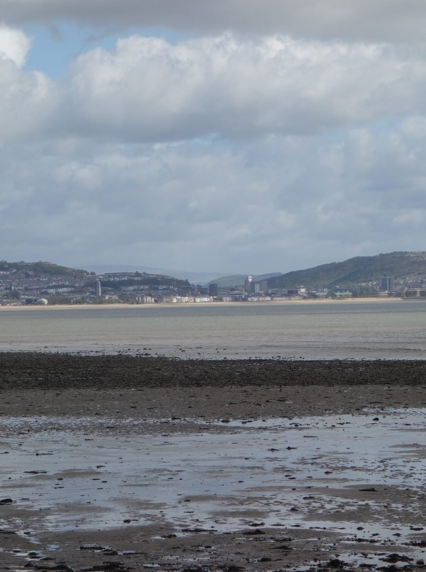 Mumbles Sea Hive - Blue Cube