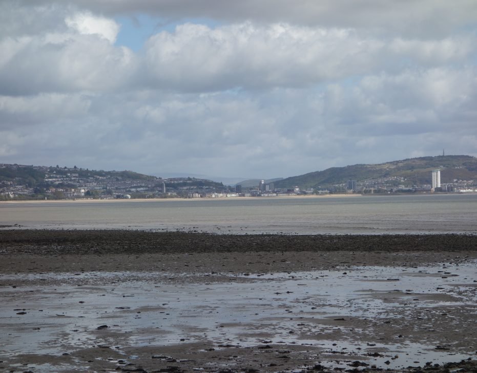 Mumbles Sea Hive - Blue Cube