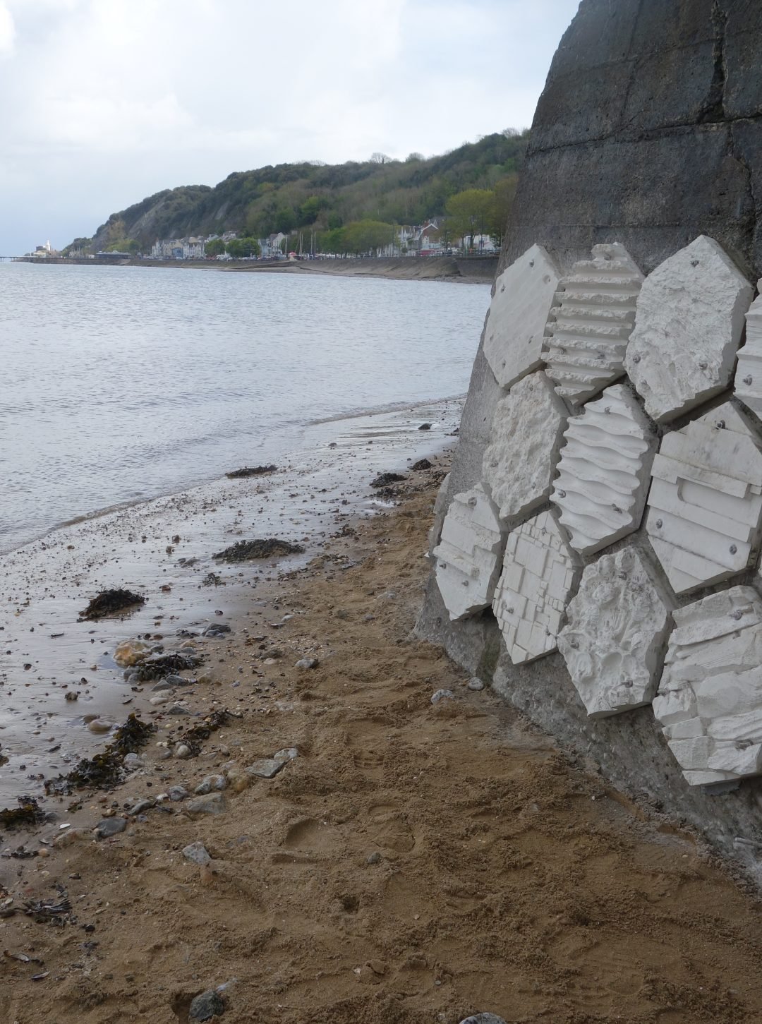 Mumbles Seahive - Blue Cube Marine