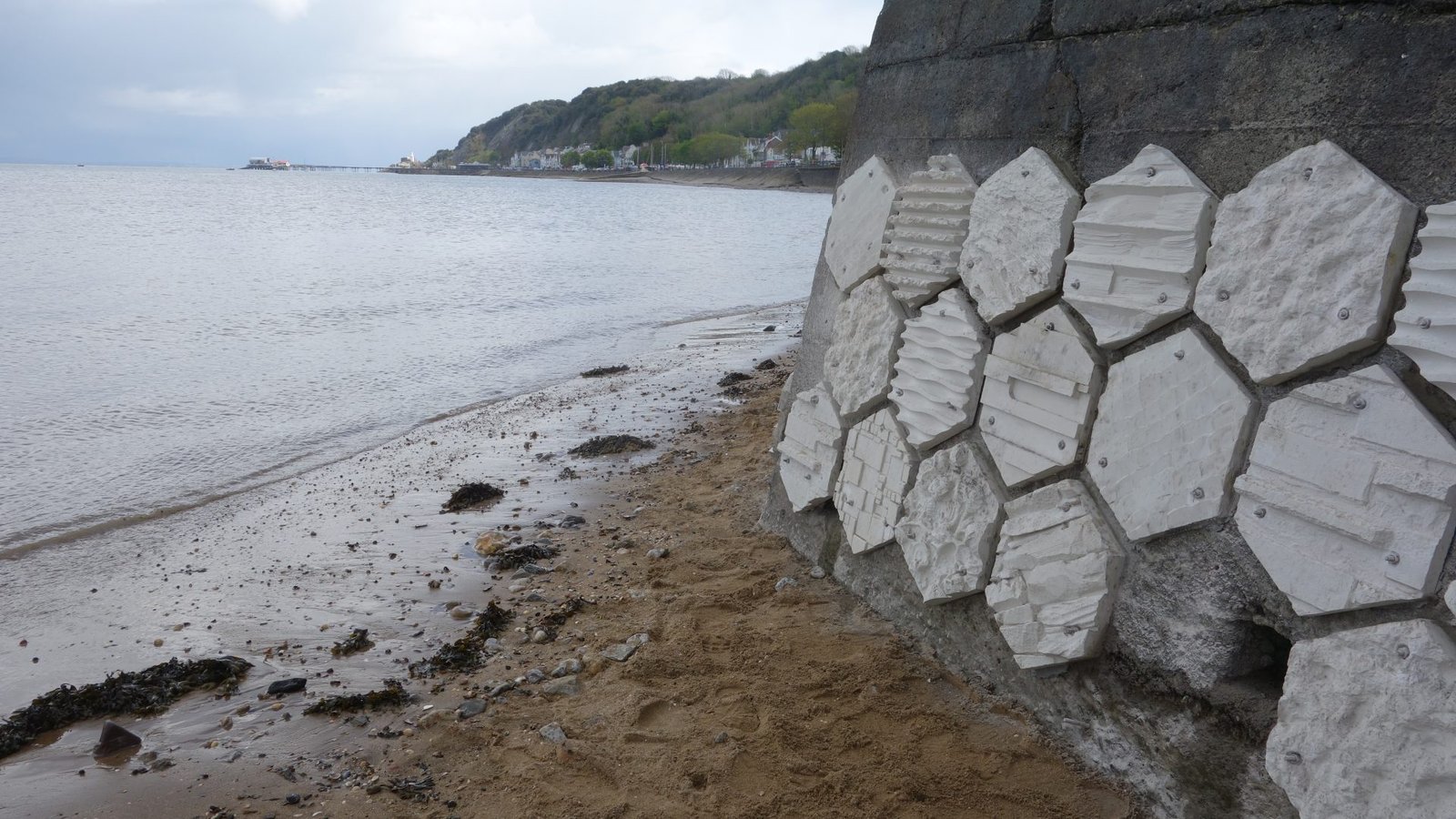 Mumbles Seahive - Blue Cube Marine