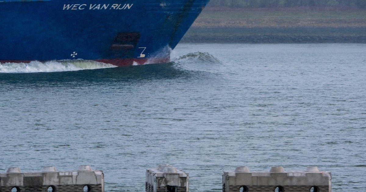 Rotterdam Reef Installed for Nature and Shoreline Protection - Blue ...